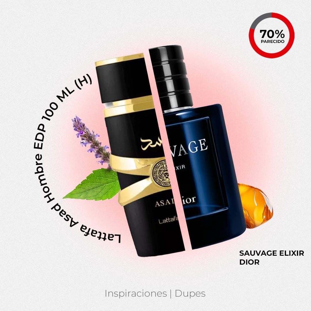 Perfumes – Elite Perfumes Distribuidor